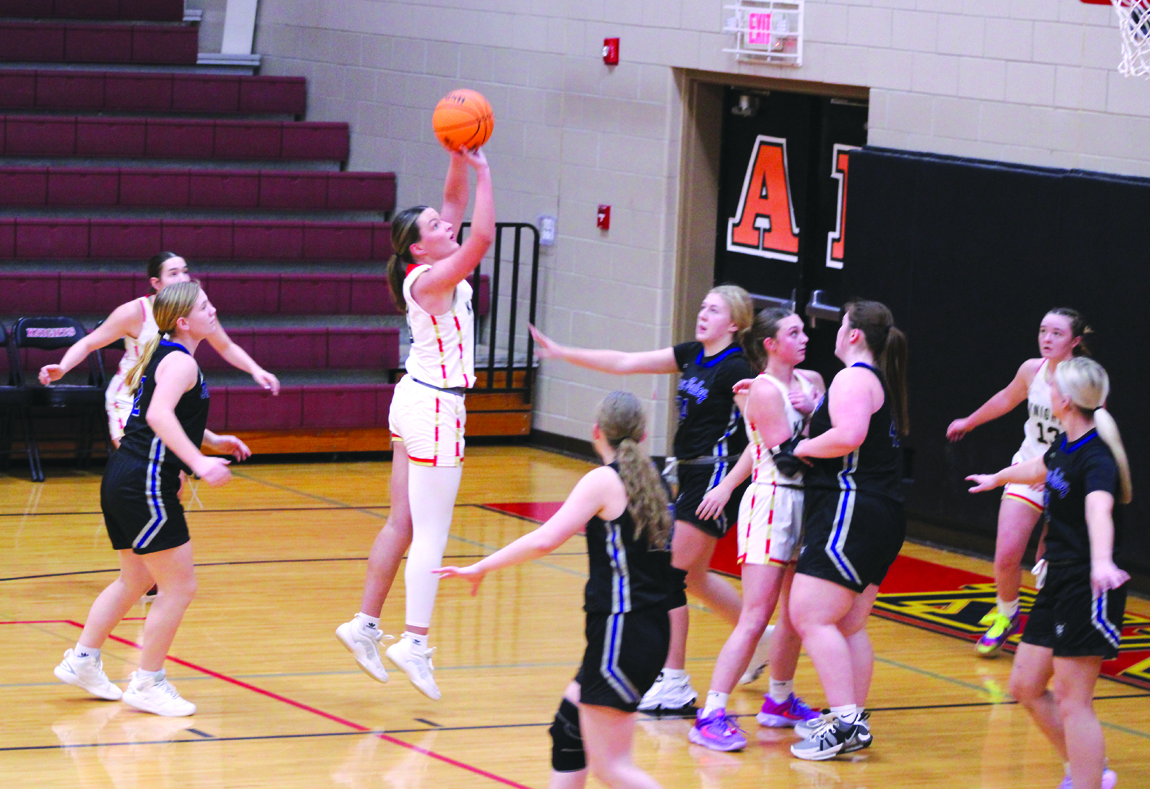 ALAH girls advance in LPC tournament – The County Chronicle